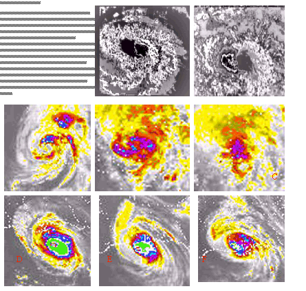 Cosmic structures and vortex model