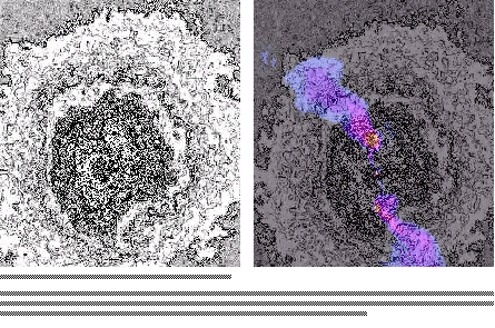 Cosmic structures and vortex model